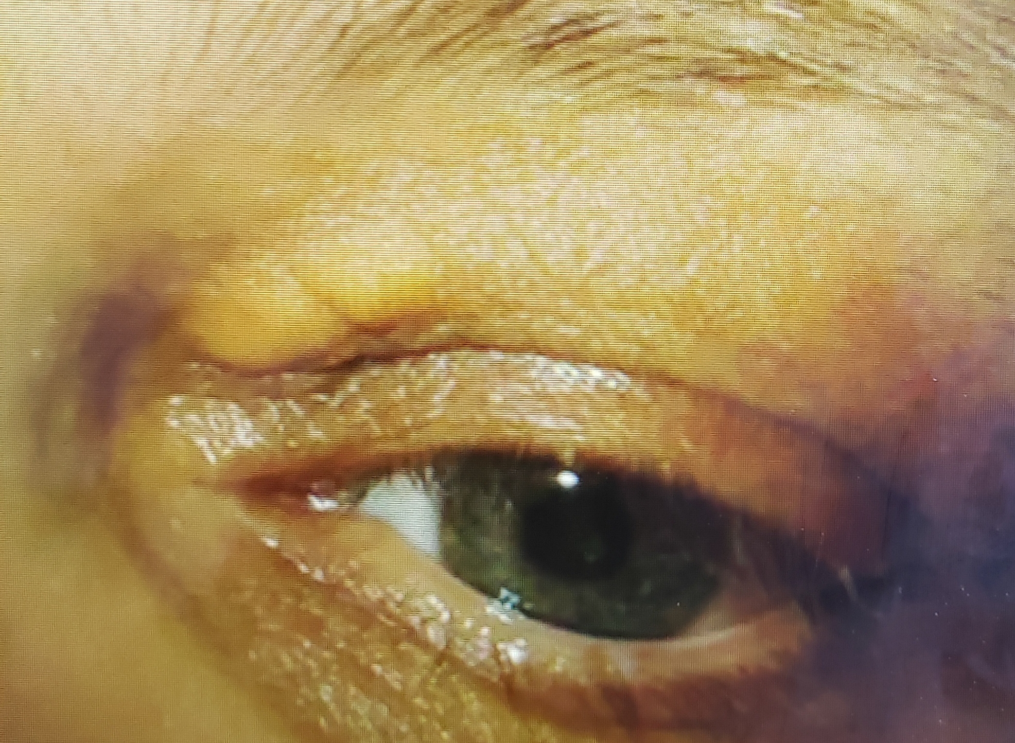 Agnes • LA Longevity