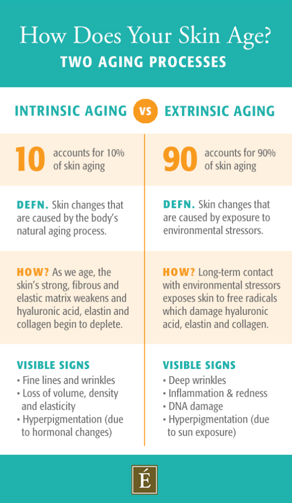 Why We Wrinkle? • LA Longevity